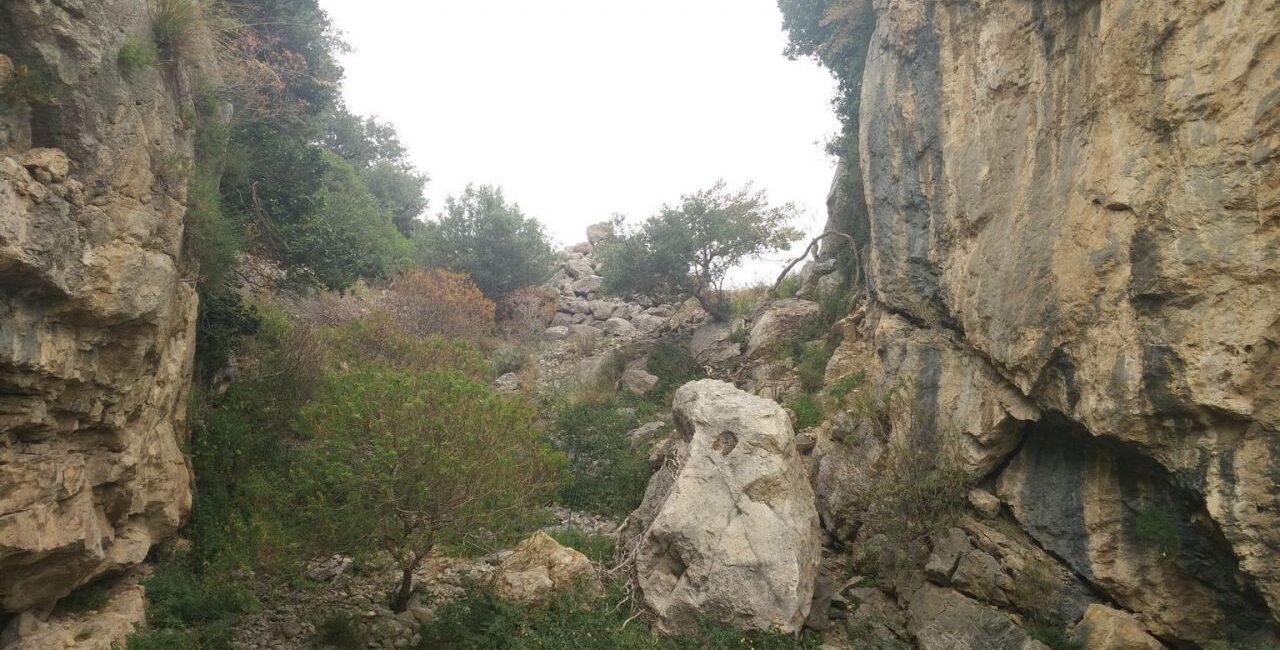 Vivere il Comune | Comune di Sciara